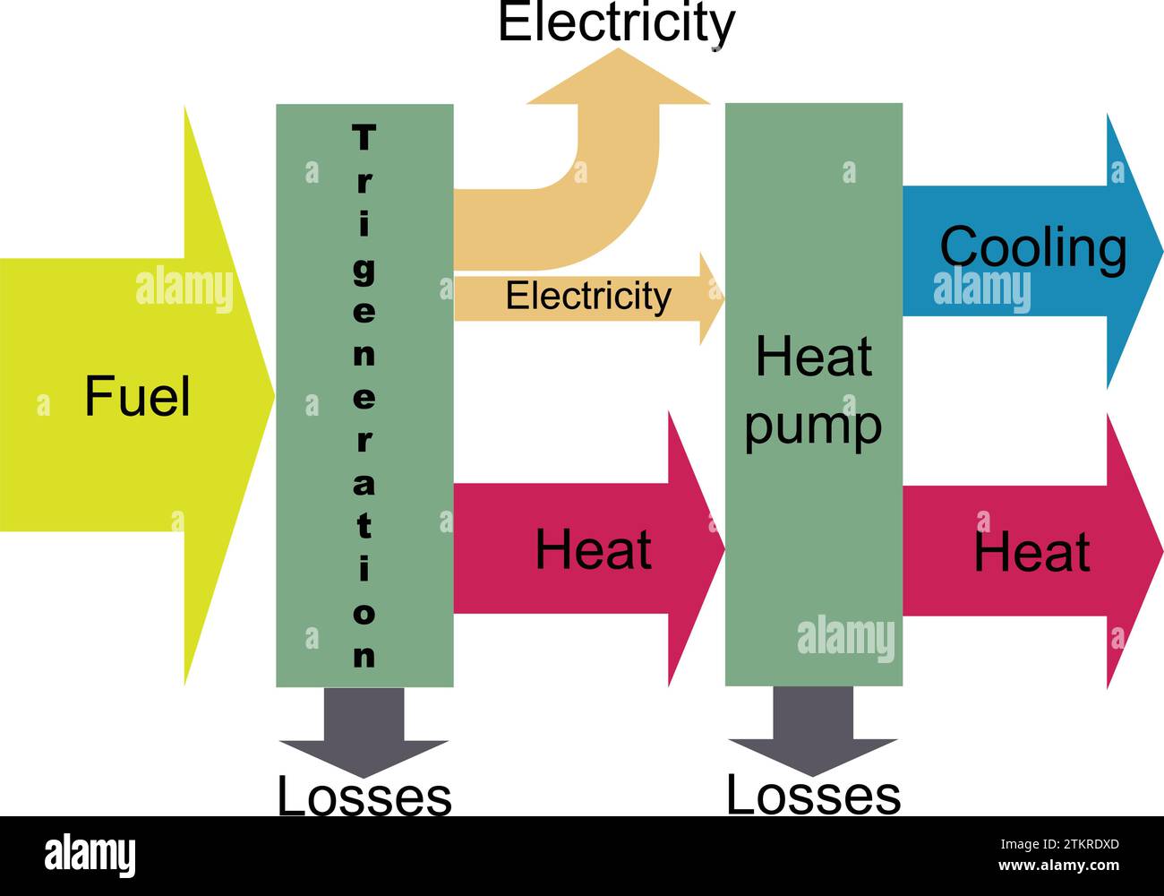 The process of trigeneration diagram with text Stock Vector Image & Art - Alamy