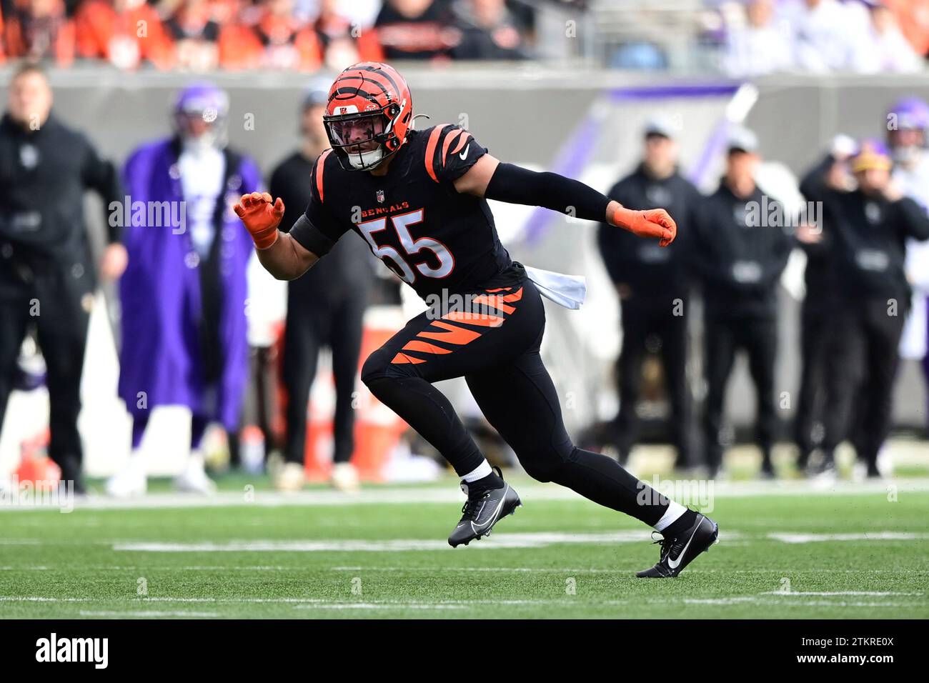Cincinnati Bengals linebacker Logan Wilson (55) runs for the play ...