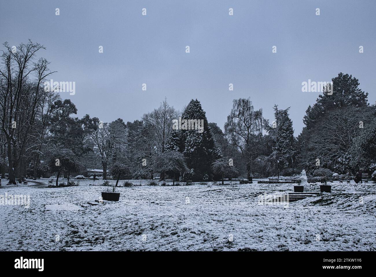 Scenic view footage taken during the winter in Valley Gardens Harrogate ...