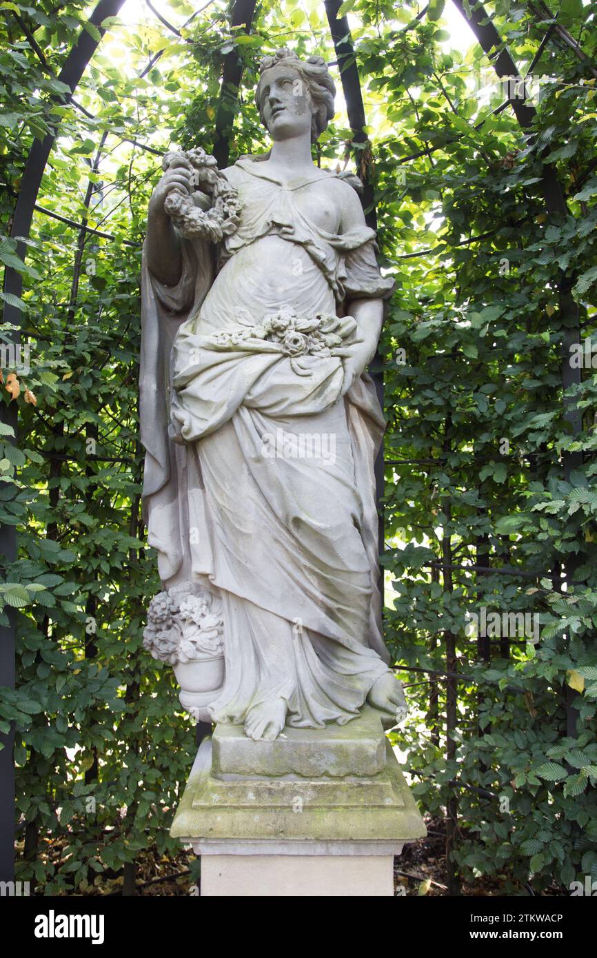 Ignatius flower hi-res stock photography and images - Alamy