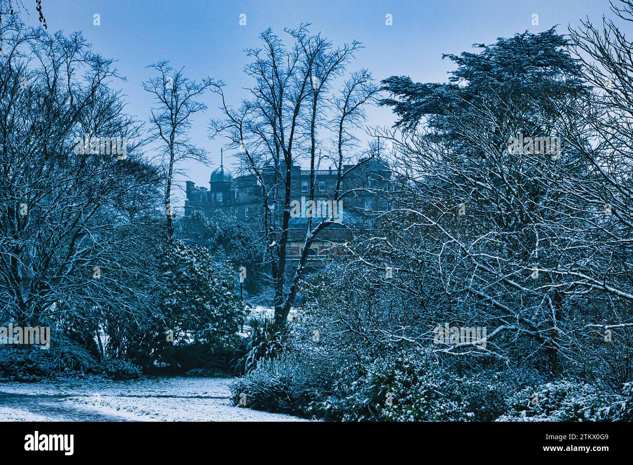 Scenic view footage taken during the winter in Valley Gardens Harrogate ...