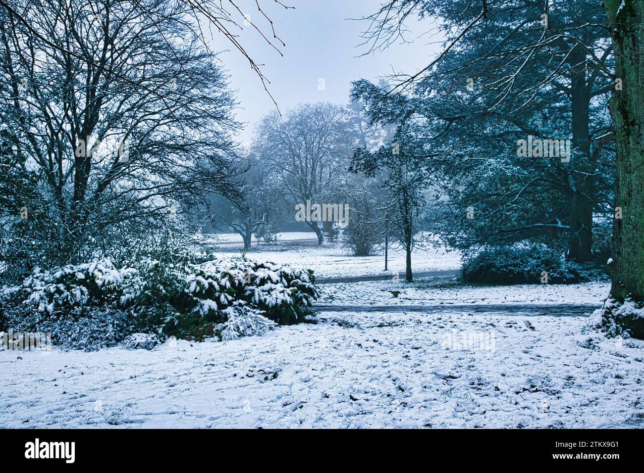 Scenic view footage taken during the winter in Valley Gardens Harrogate ...