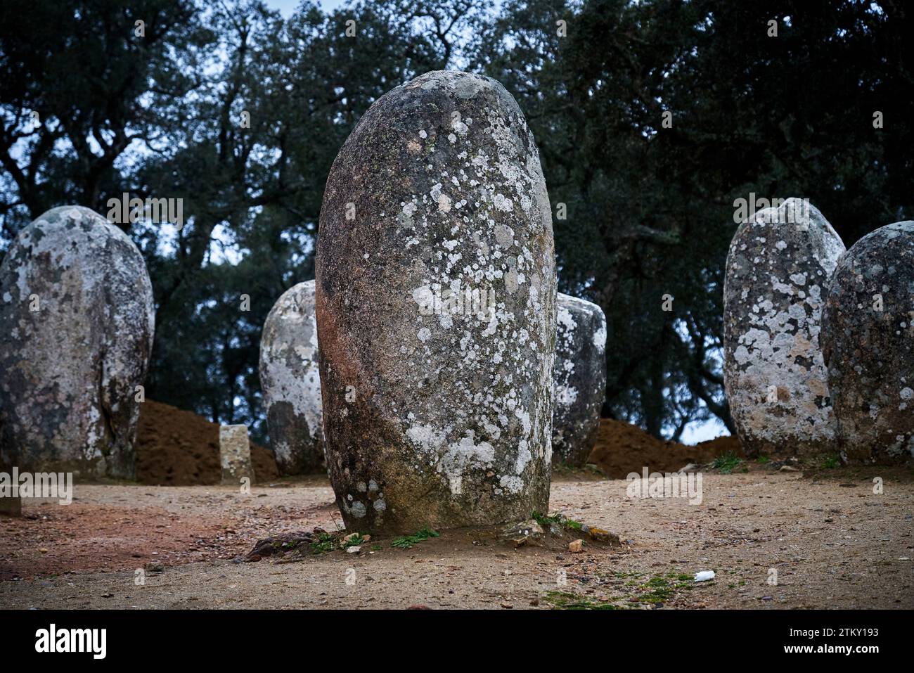 Almendres Cromlech, Portugal Stock Photo - Alamy