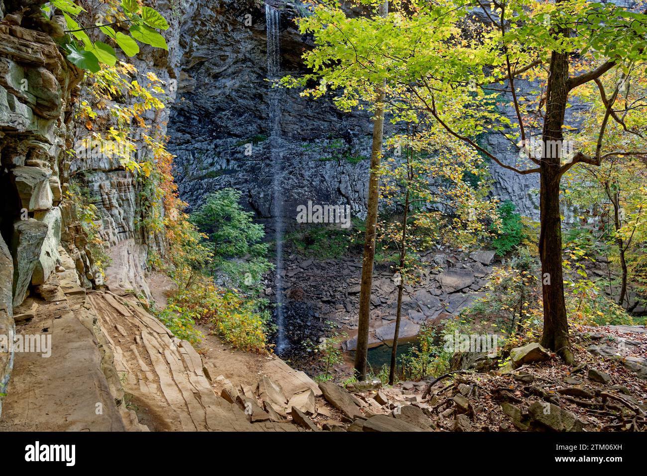 Standing at the ledge alongside the canyon wall with a view of sparse ...