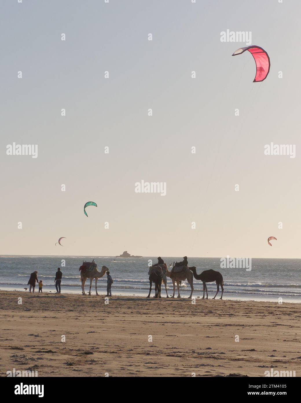 Camels riders and kites flying on a sandy beach in Essaouira "The Windy ...