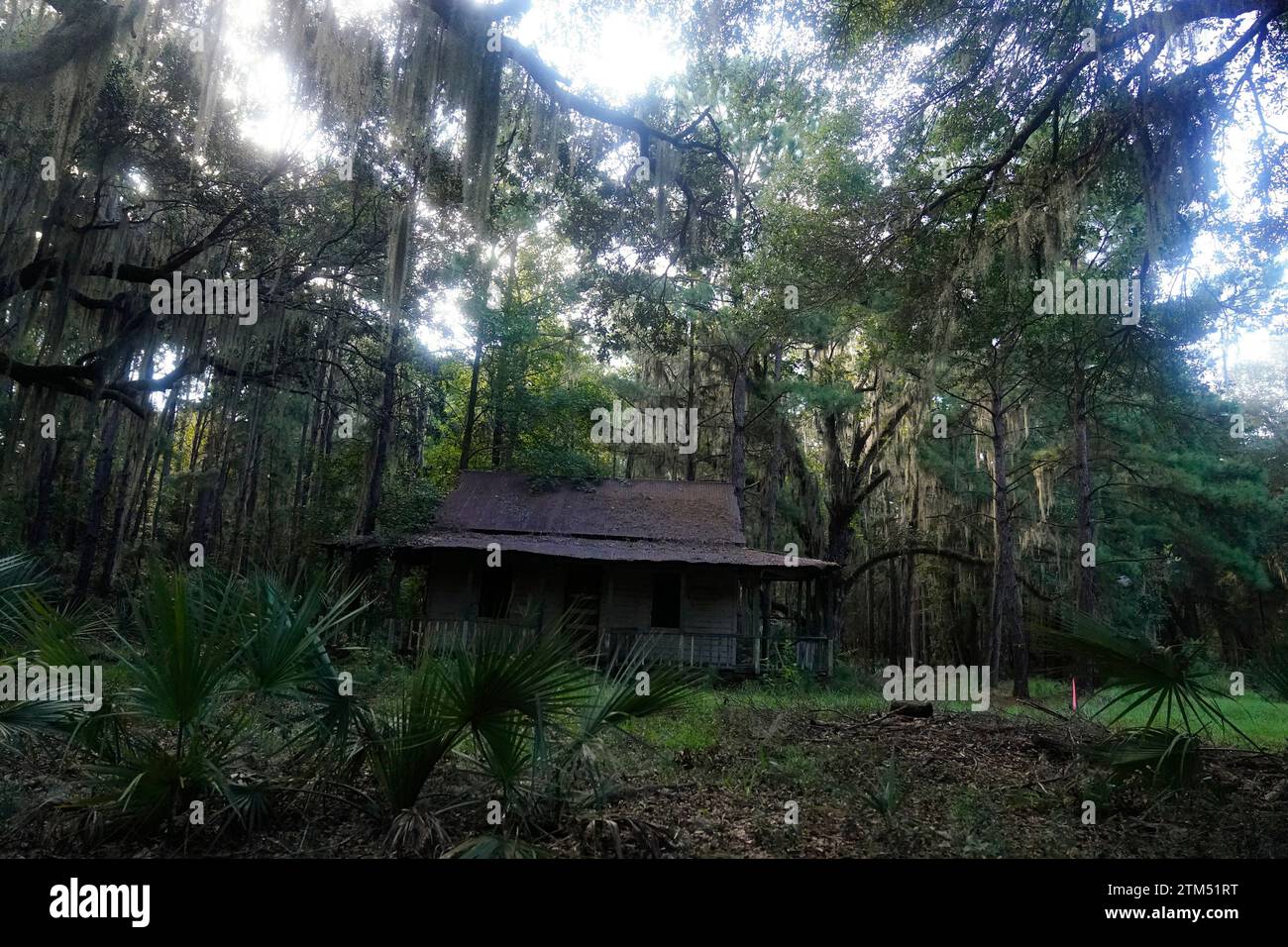 According to Sallie Ann Robinson, of Daufuskie Island, S.C., an old ...