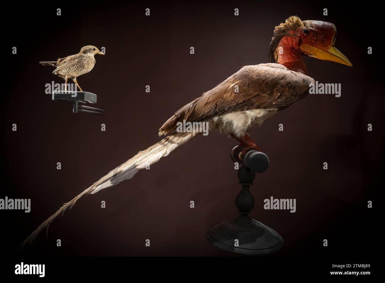 Paris, France - 12 15 2023: The Great Evolution Gallery of Paris. View ...