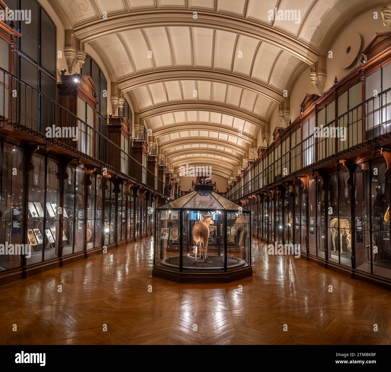 Paris, France - 12 15 2023: The Great Evolution Gallery of Paris. View ...