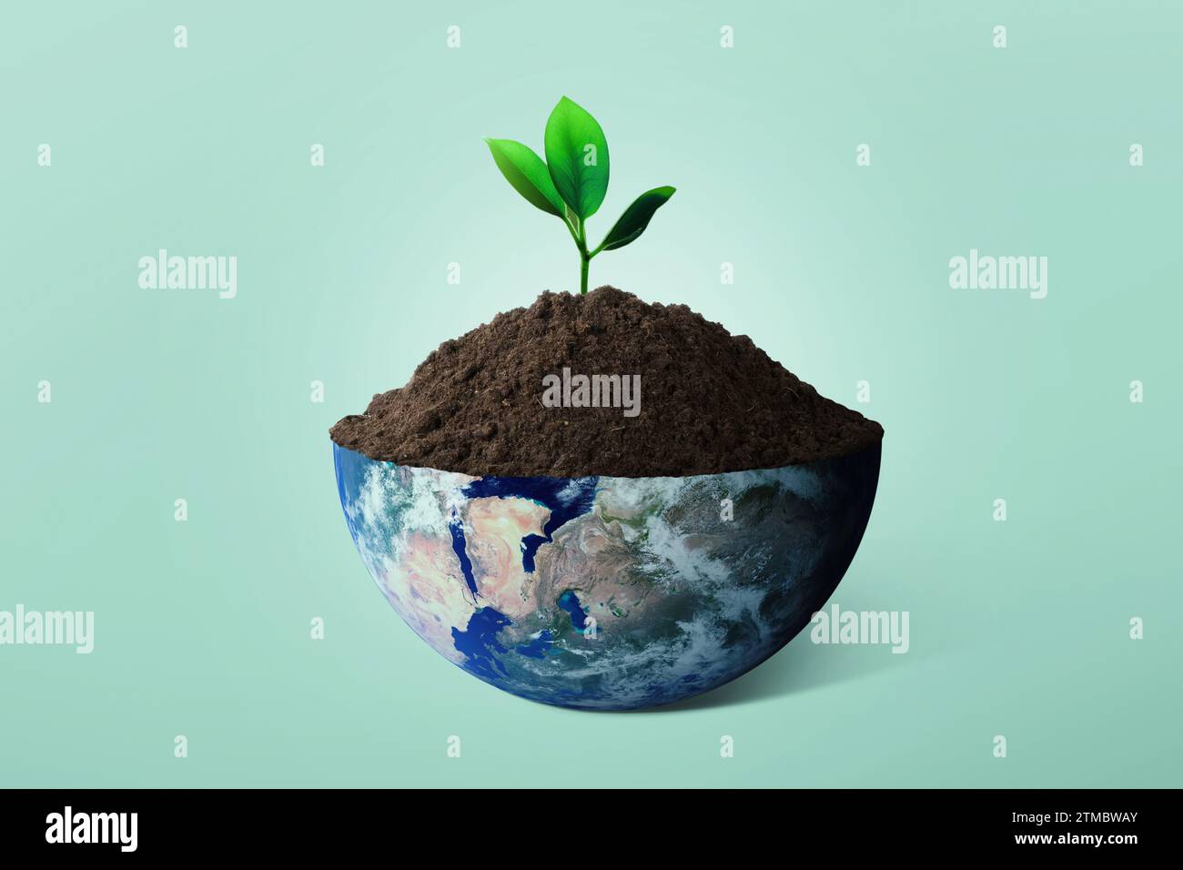 Half Of The Planet Earth With Soil And Growing Sprouts On A Green ...