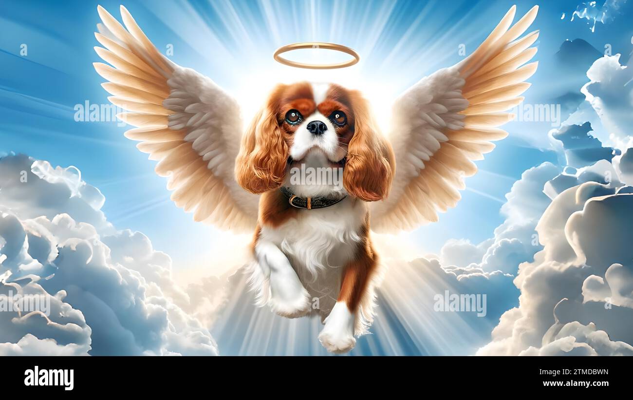 Angel dog with halo soaring in the sky Stock Photo - Alamy