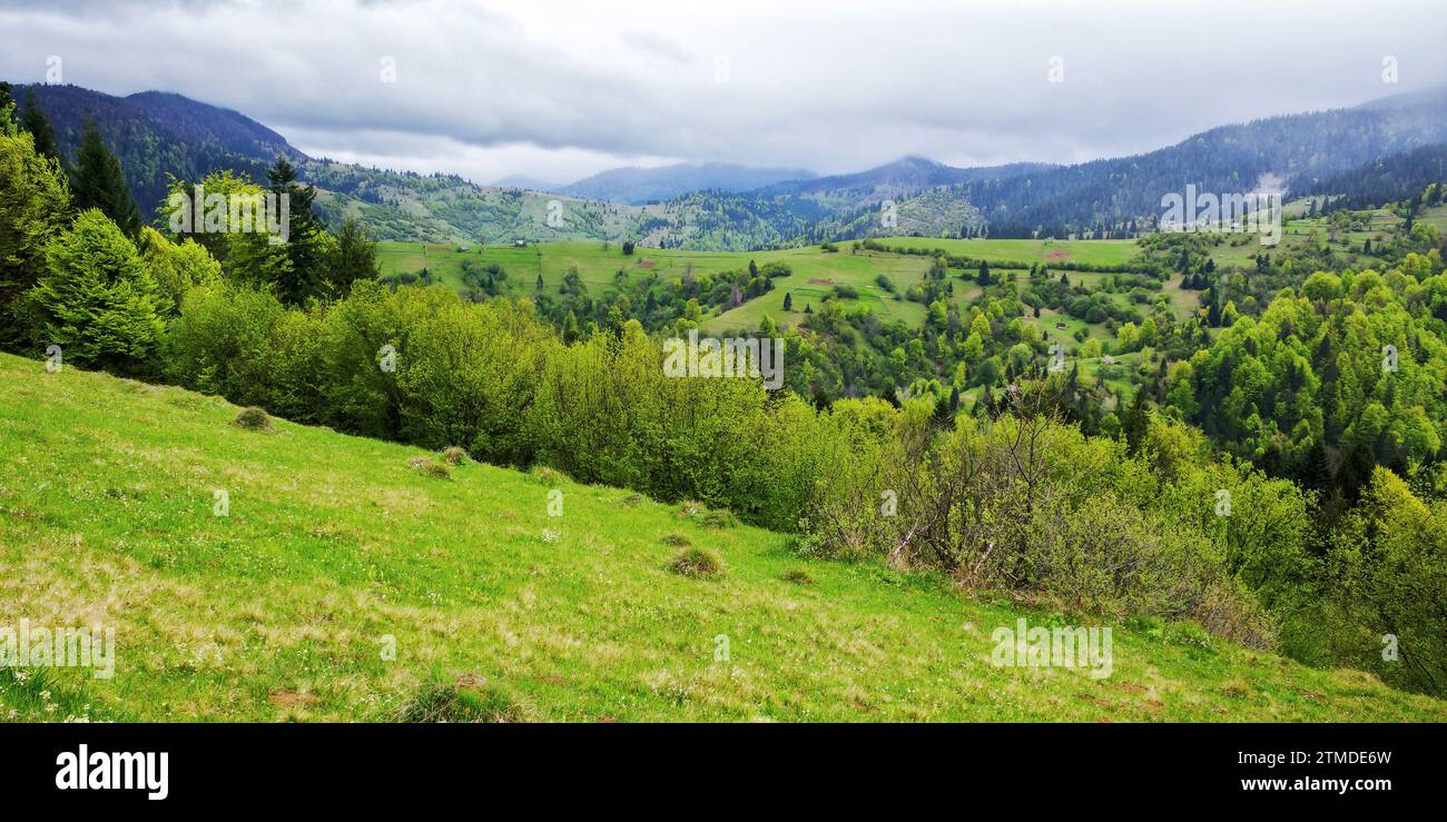 rural landscape with grassy meadows and pastures. mountainous ...