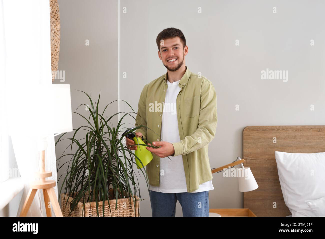 Bearded palm tree hi-res stock photography and images - Alamy