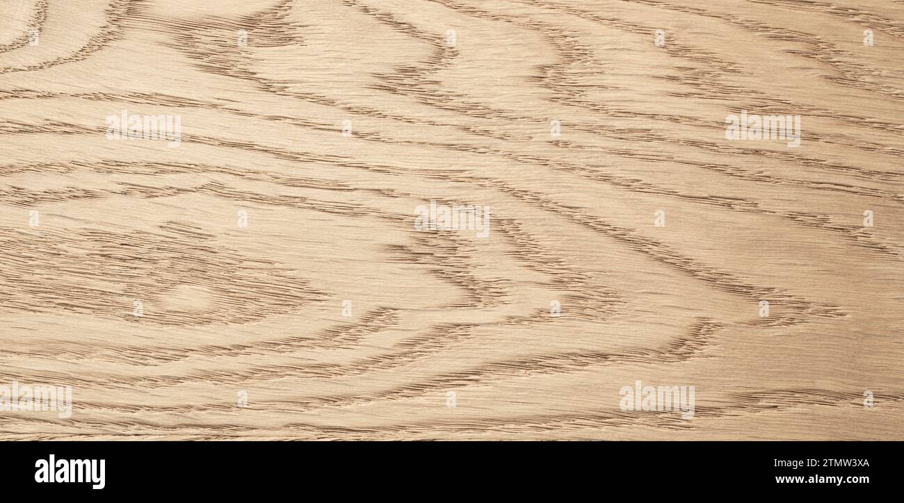Brushed and sanded close-up of recycled oak wood texture background ...