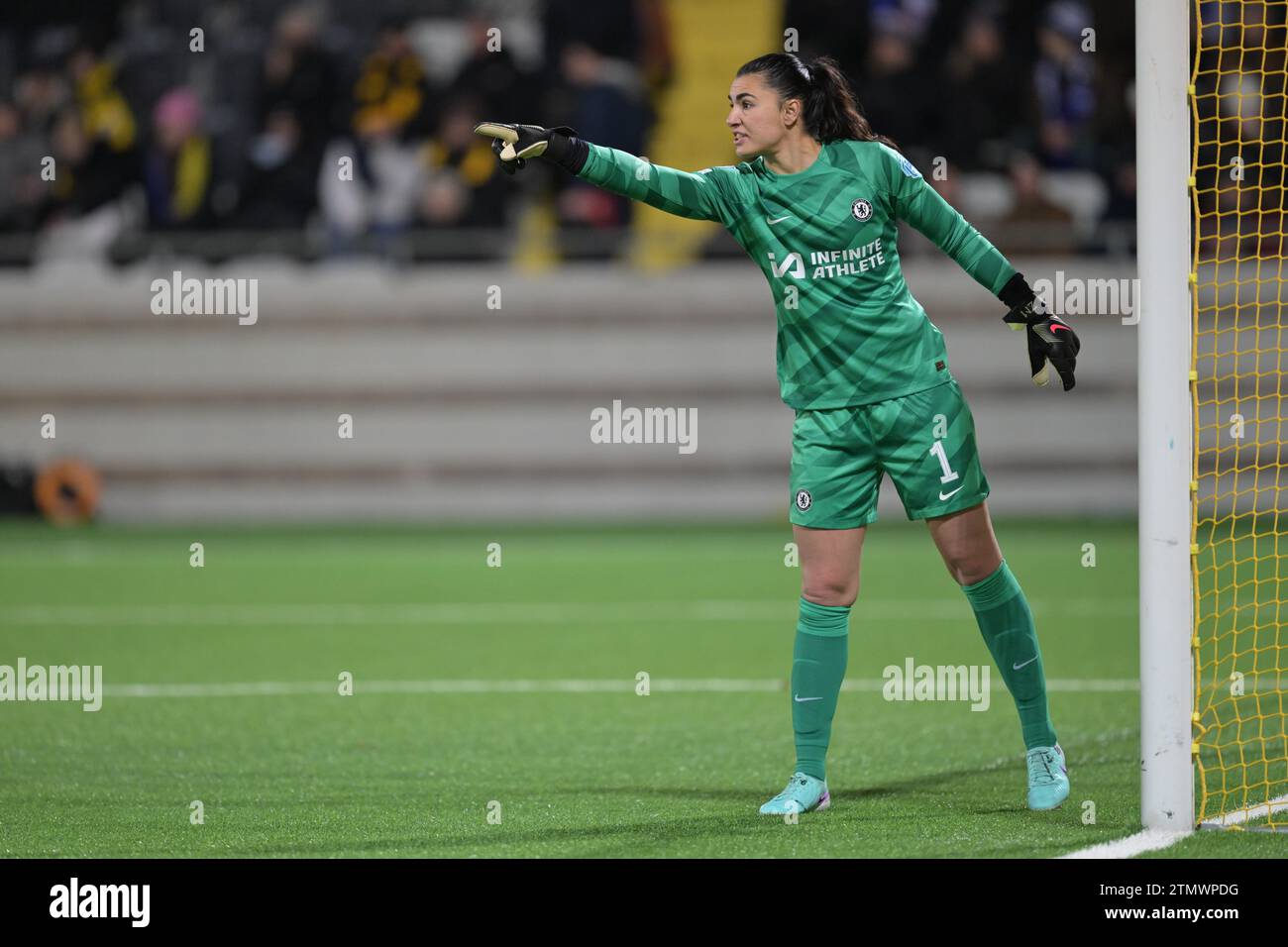Gothenburg, Sweden, December 20, 2023, Chelsea's goalkeeper Zecira ...