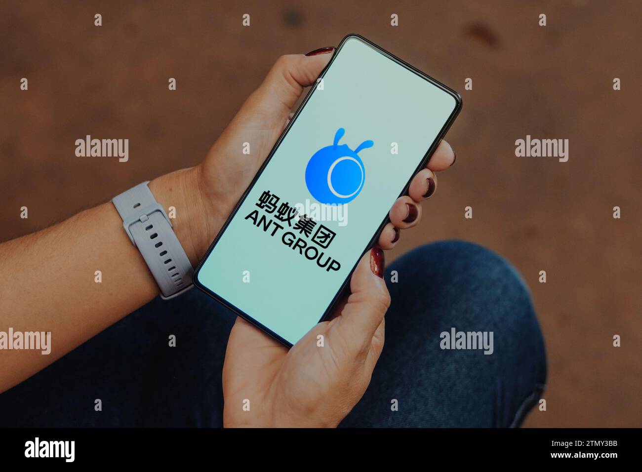 Brazil. 20th Dec, 2023. In this photo illustration, the Ant Group logo ...