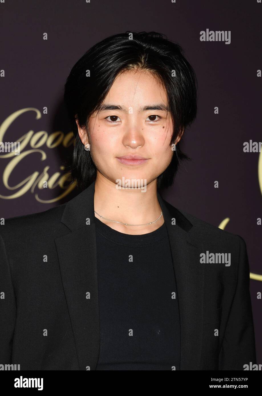 LOS ANGELES, CALIFORNIA - DECEMBER 19: Terry Hu attends the Los Angeles ...