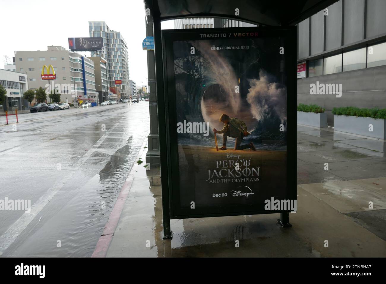 Los Angeles, California, USA 20th December 2023 Disney Percy Jackson ...
