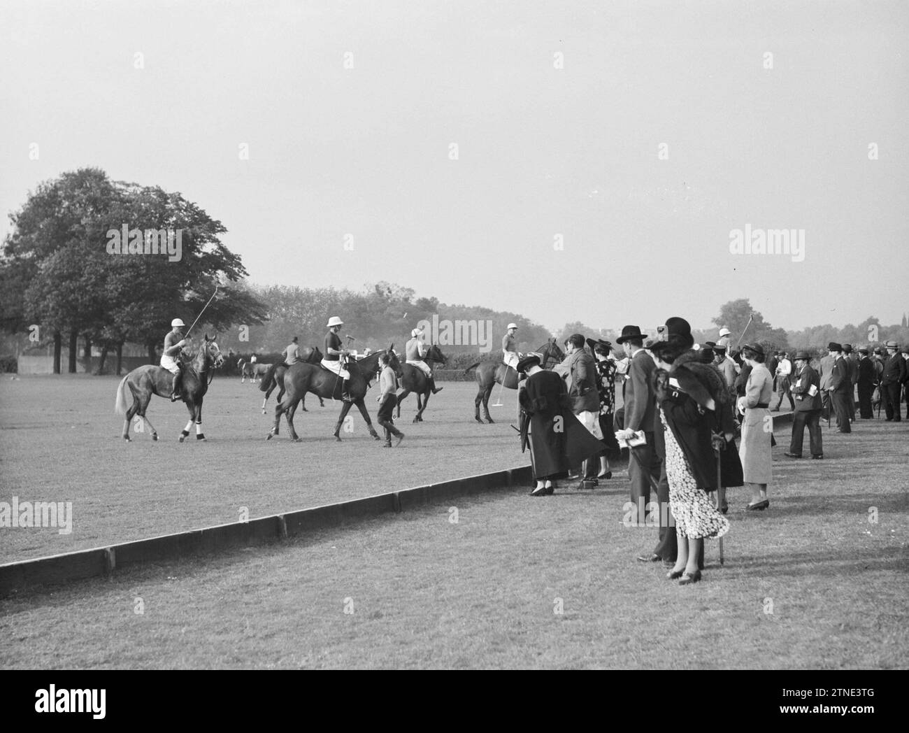 1930s polo match hi-res stock photography and images - Alamy