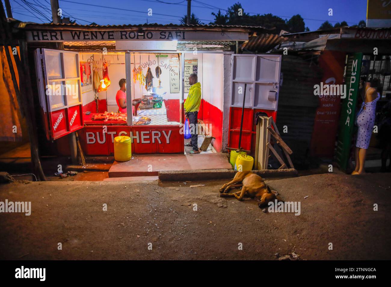 A dog sleeping outside a butchery in Kibera Slum. A view through the ...