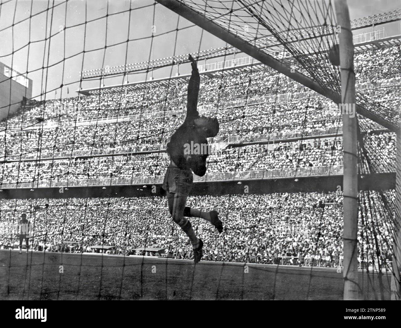 20 gon hi-res stock photography and images - Alamy