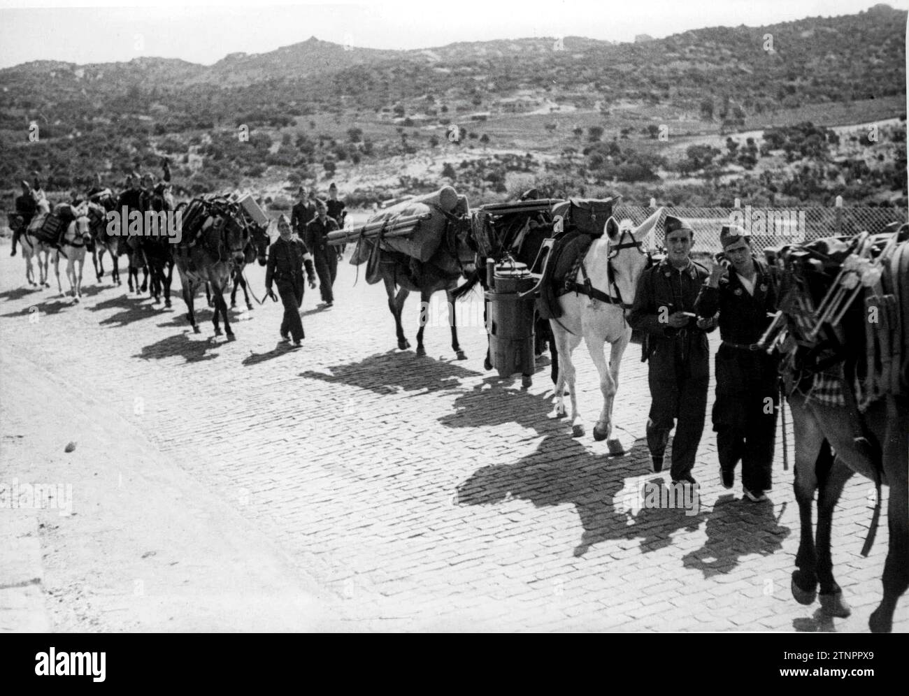07/26/1936. The first mountain health column, which was reorganized ...