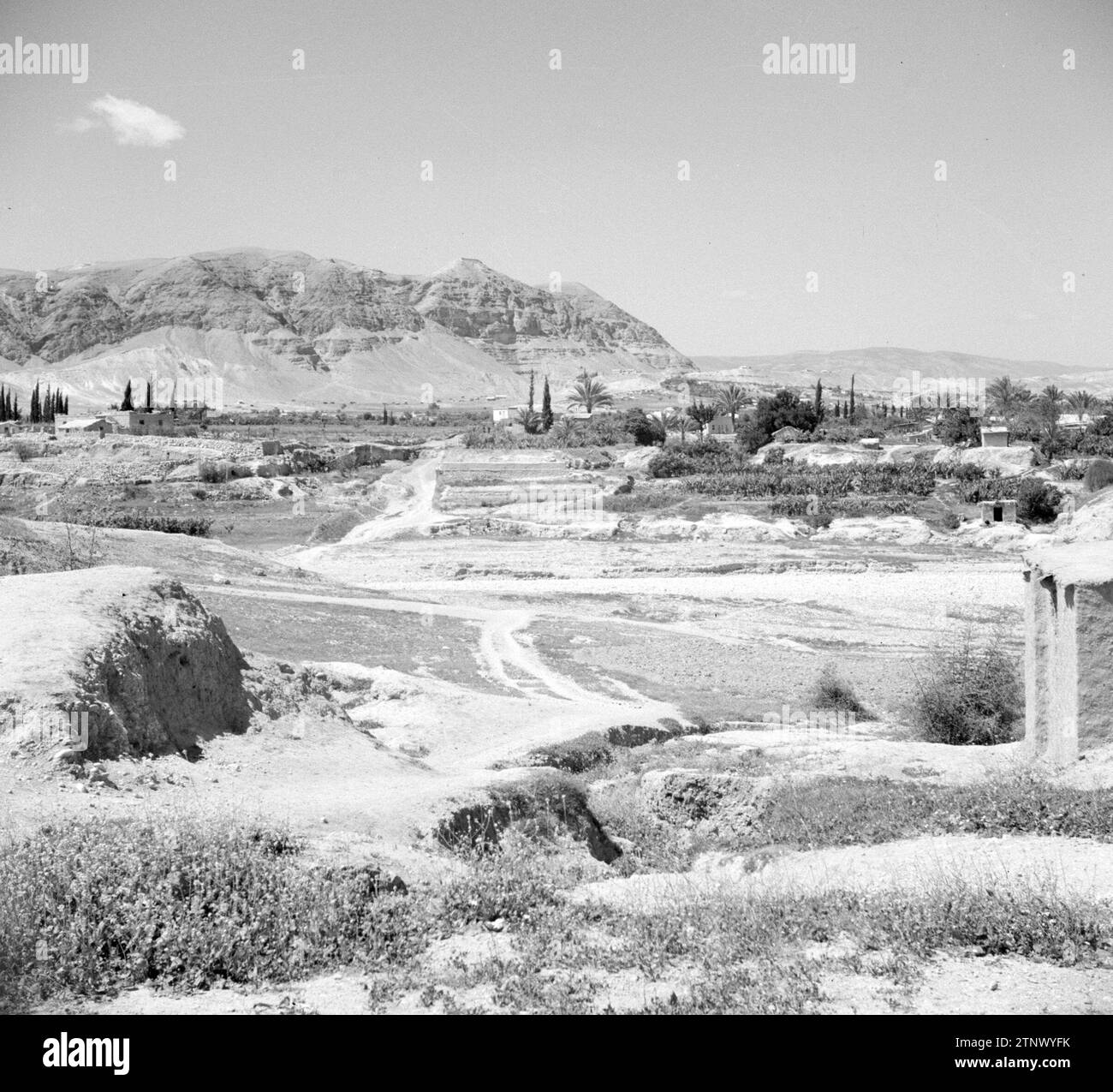 Landscape near Jericho ca. 1950-1955 Stock Photo - Alamy