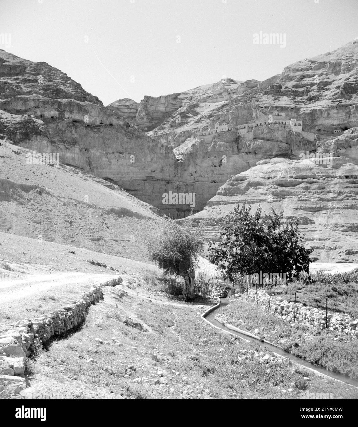 Landscape in the vicinity of Jericho. Water channel for irrigation in ...