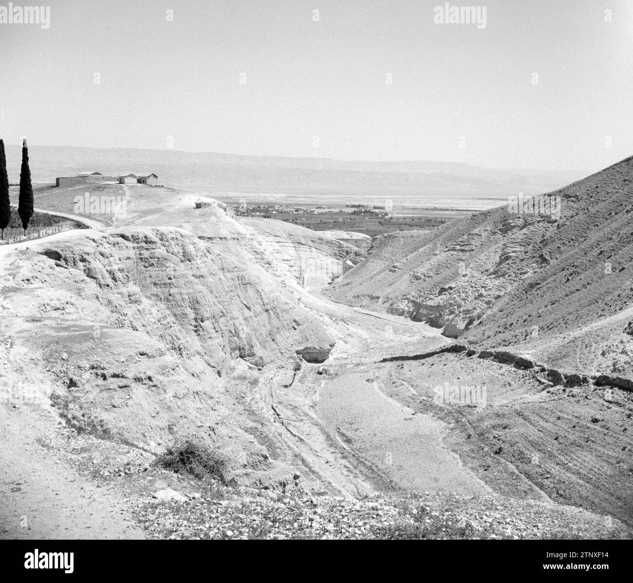 Landscape near Jericho. The Wadi el Kelt ca. 1950-1955 Stock Photo - Alamy