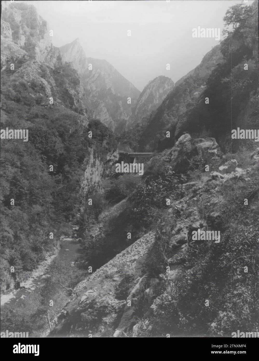 12/31/1949. Lion. Pontoon Gorge. Credit: Album / Archivo ABC / Marques ...