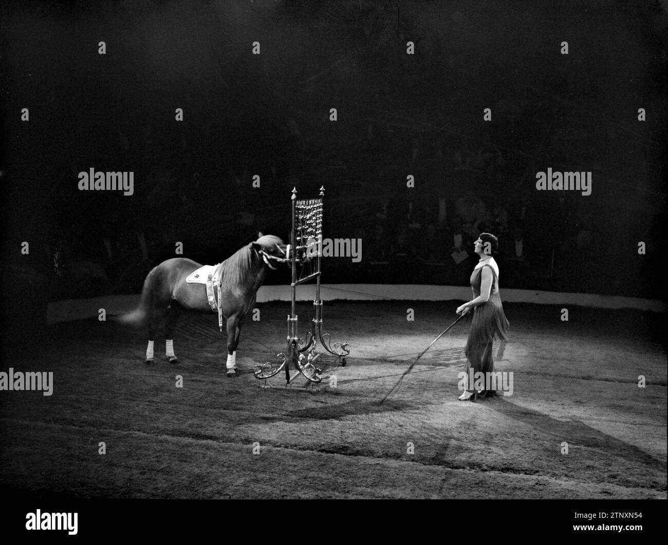 Cirque medrano Black and White Stock Photos & Images - Alamy