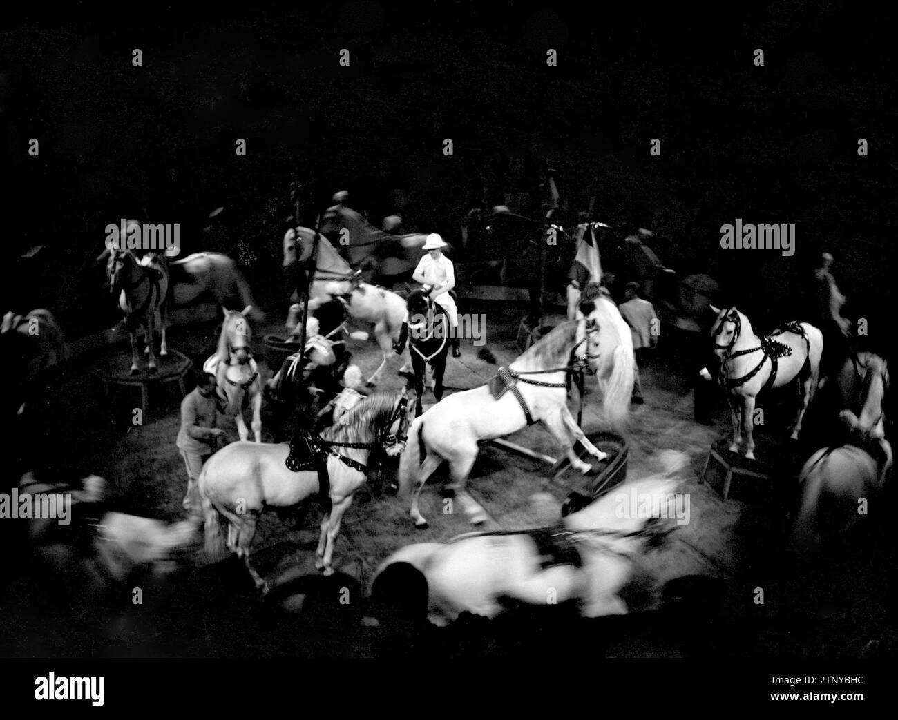 Medrano hi-res stock photography and images - Alamy