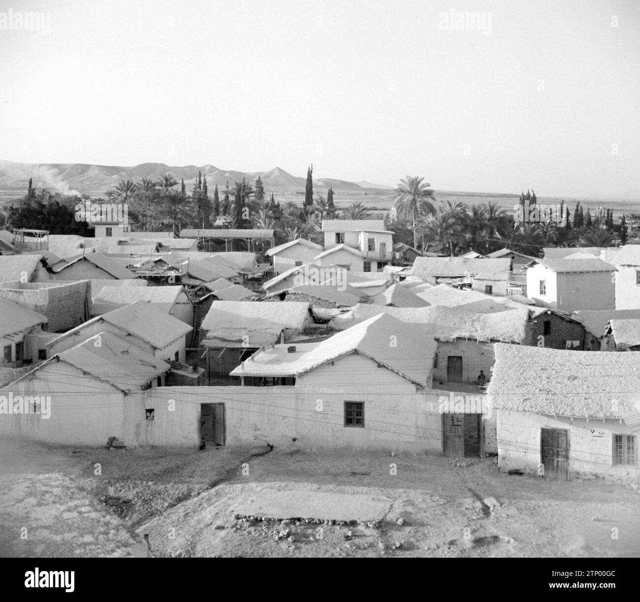 Jericho in the plain of the Dead Sea ca. 1950-1955 Stock Photo - Alamy
