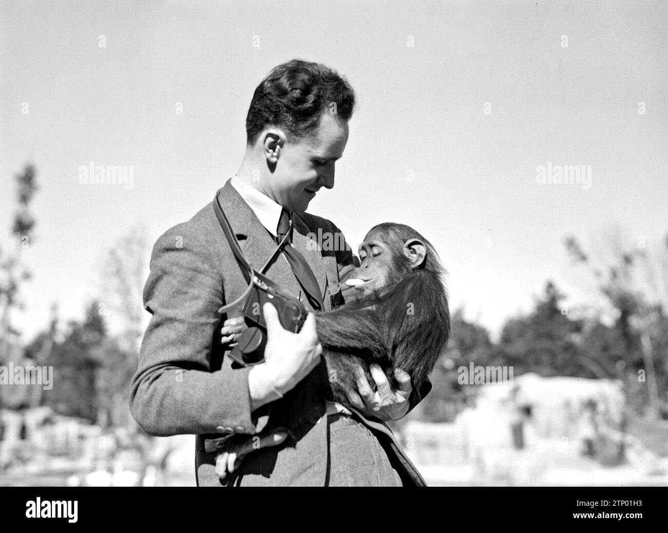 Monkey arm Black and White Stock Photos & Images - Alamy
