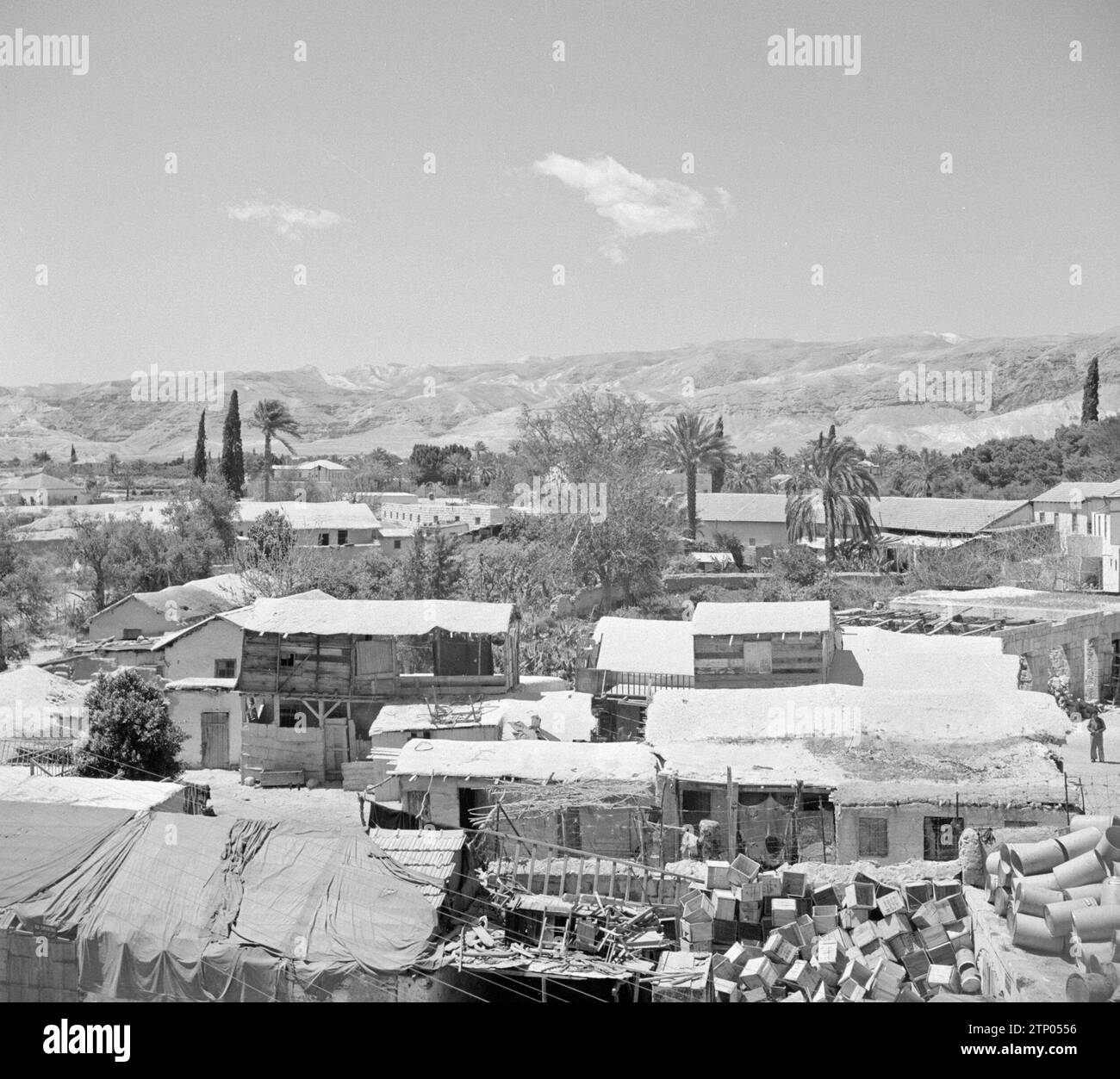 Jericho in the plain of the Dead Sea ca. 1950-1955 Stock Photo - Alamy