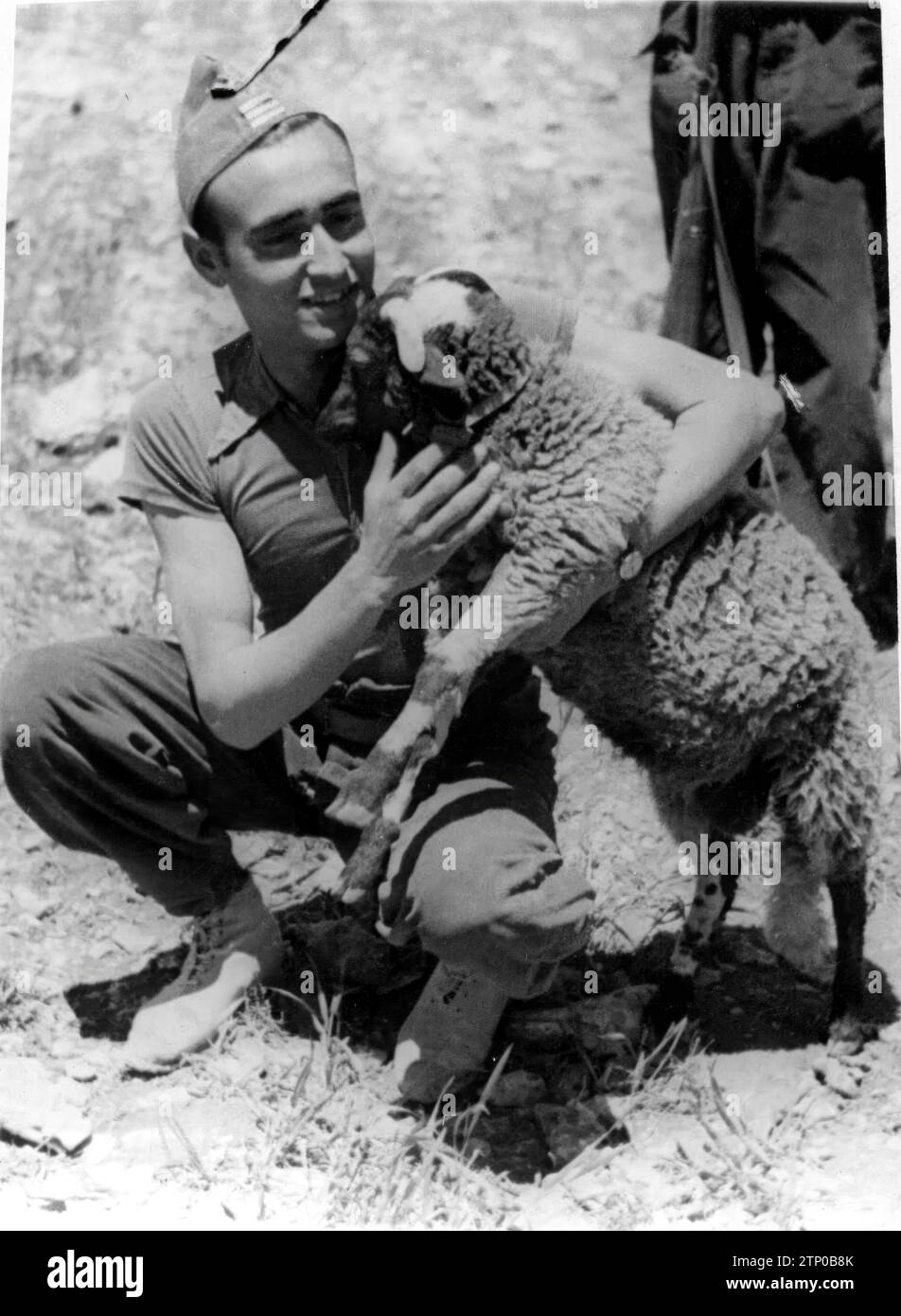 06/30/1937. Sheep Captured in a Raid on National Lines, and Adopted as ...