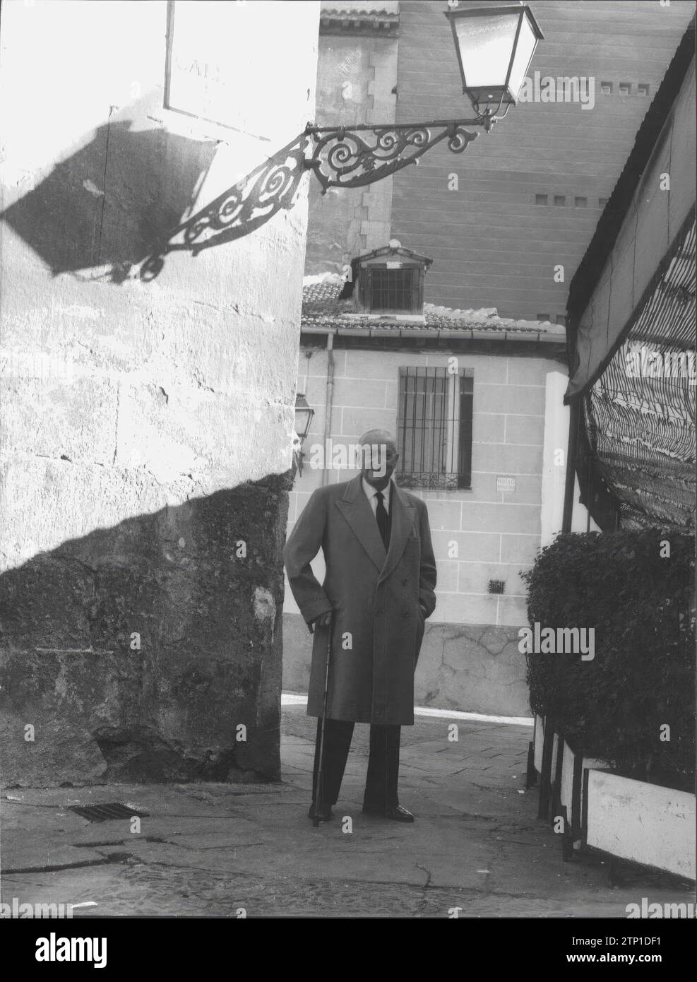 Perico chicote hi-res stock photography and images - Alamy