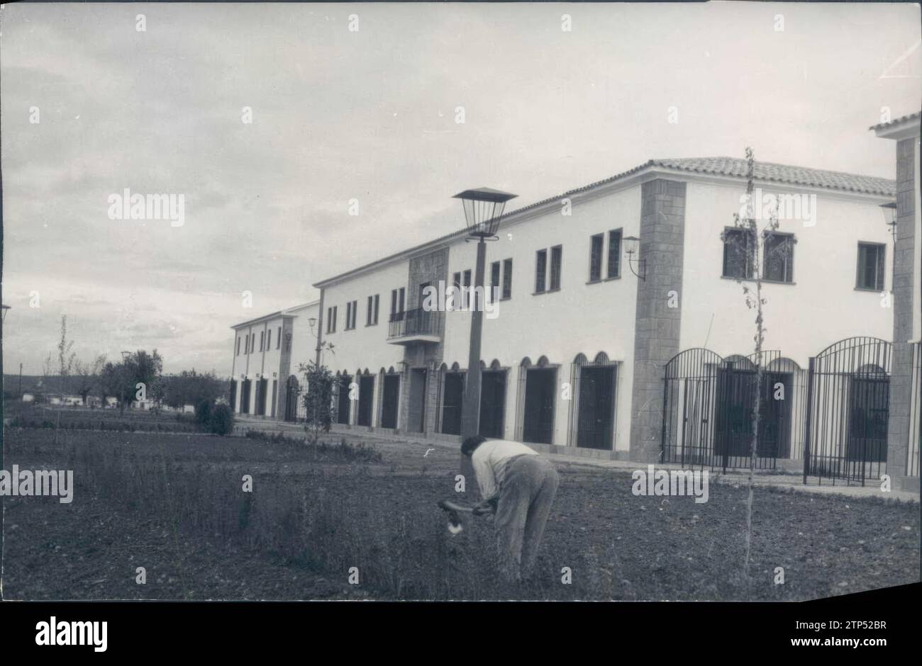 12/31/1960. An aspect of the Marmolejo colonization union farm-school ...