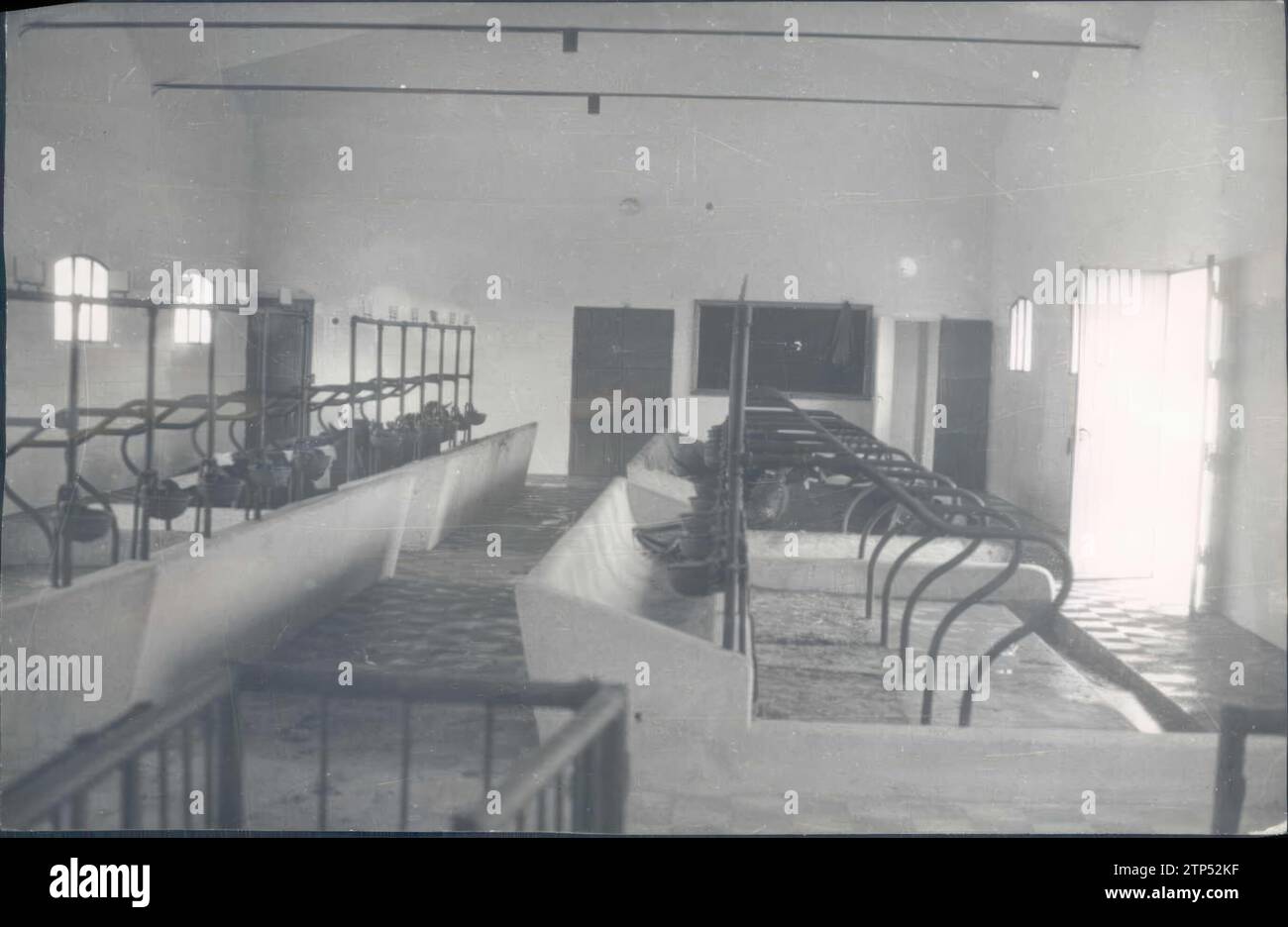 12/31/1960. An aspect of the Marmolejo colonization union farm-school ...