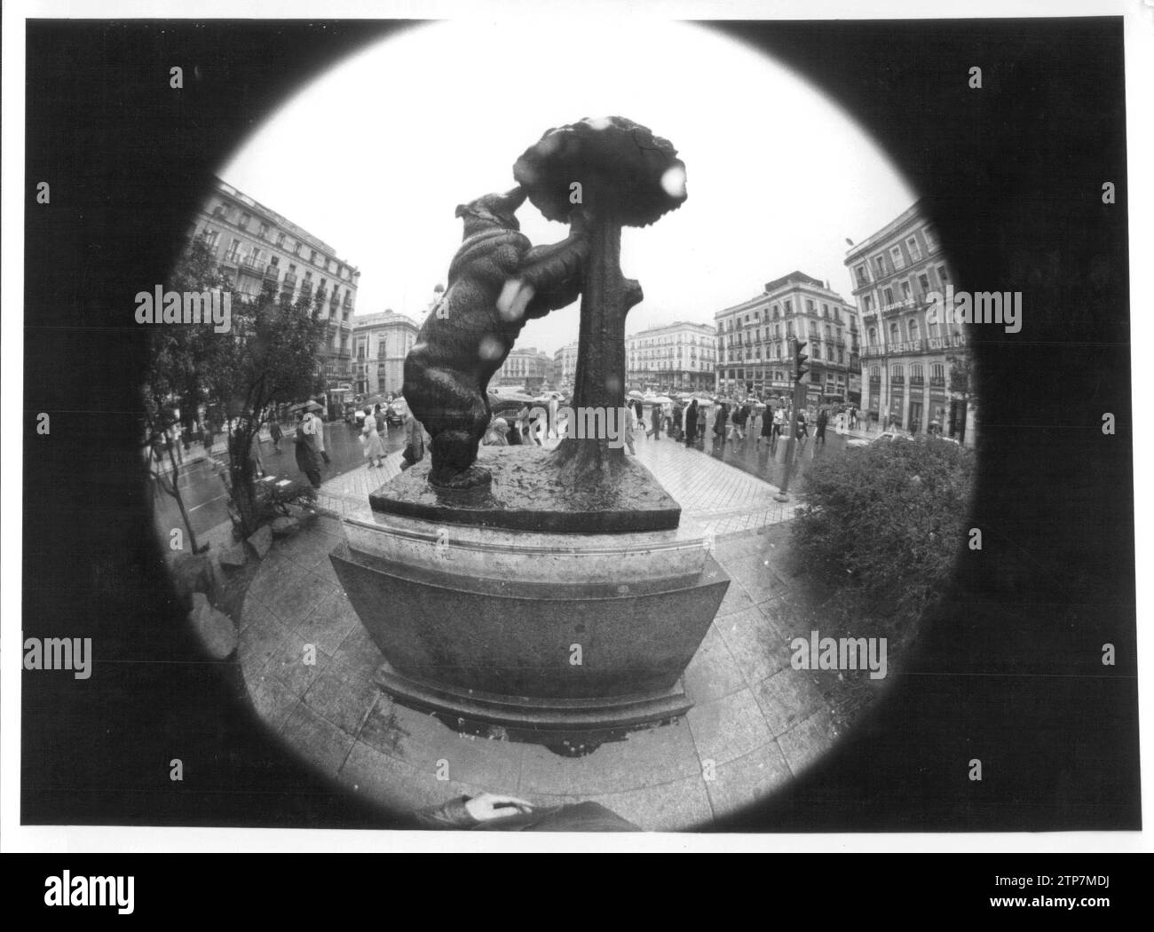 12/31/1966. The statue of the bear and the strawberry tree in its first ...