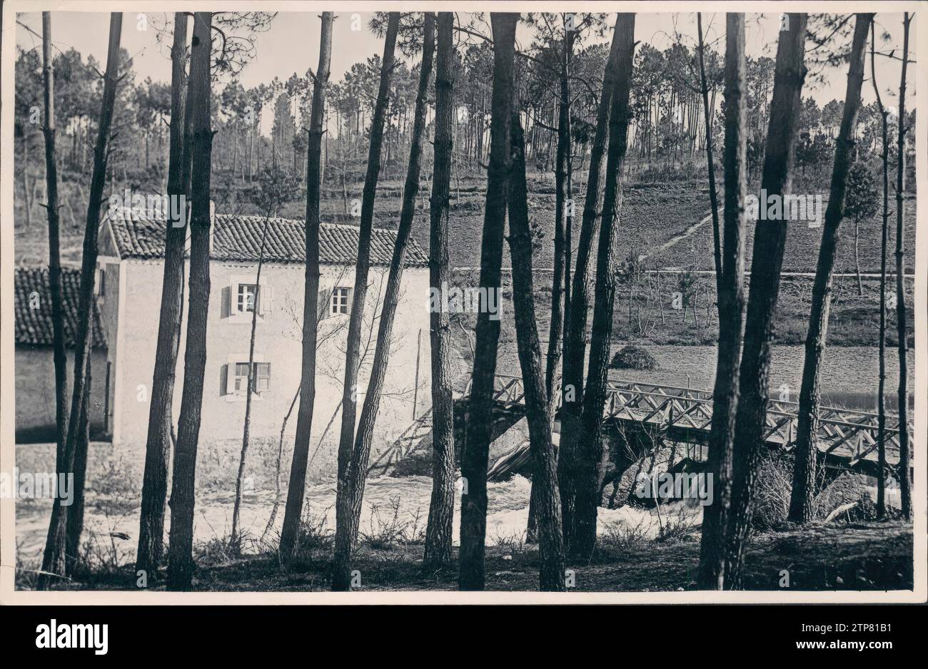 Gallineros hi-res stock photography and images - Alamy