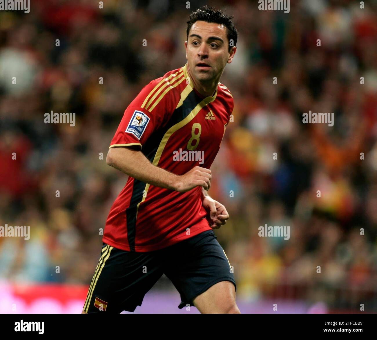 Madrid, 03/28/2009. Qualifying match for the 2010 South Africa Soccer ...