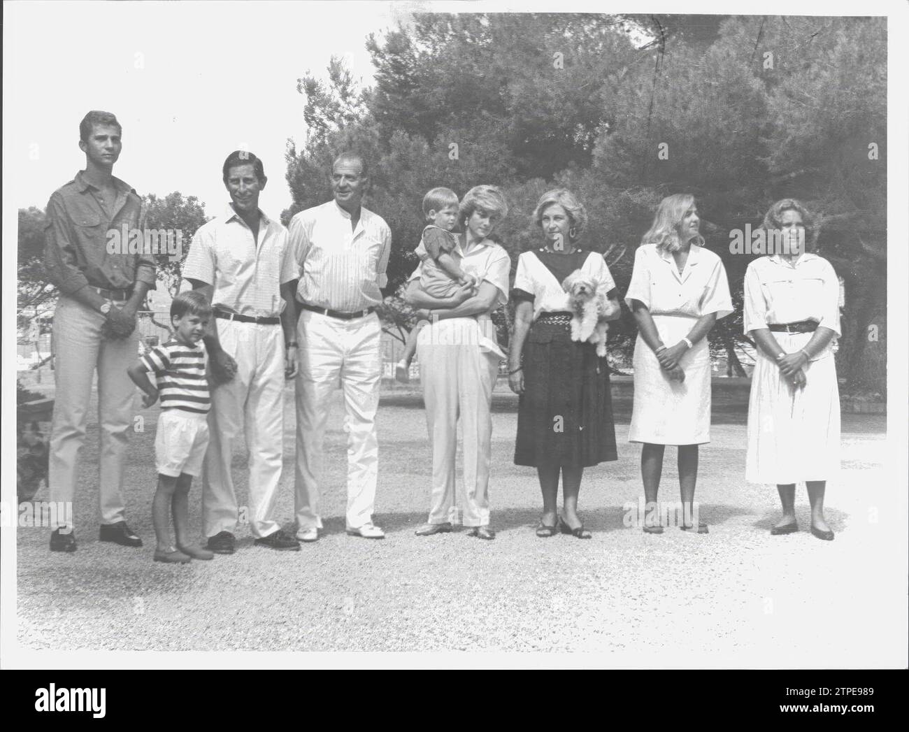 Gardens of the marivent palace hi-res stock photography and images - Alamy