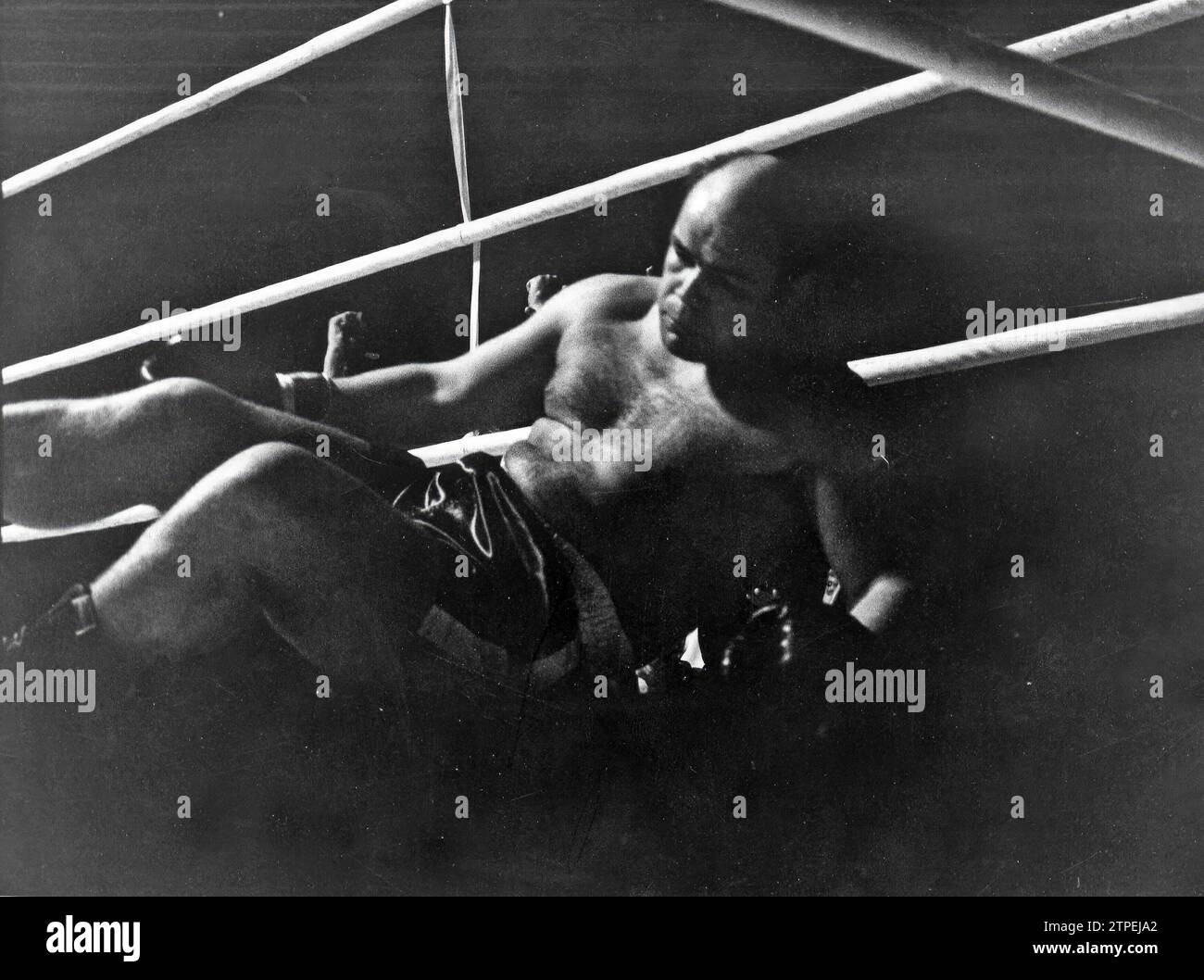German heavyweight boxer hi-res stock photography and images - Alamy