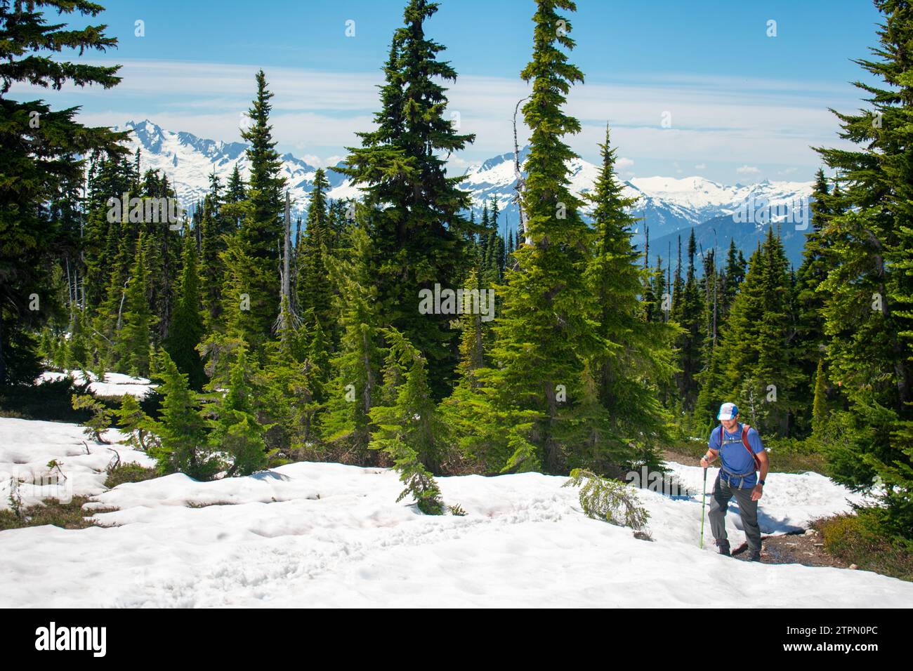 A hiker follows the snowy Panorama Ridge Trail, with the stunning ...