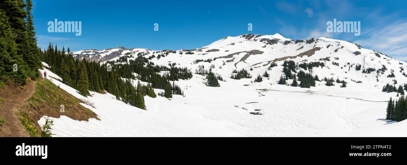 The Panorama Ridge Trail winds through a melting alpine snowscape under ...