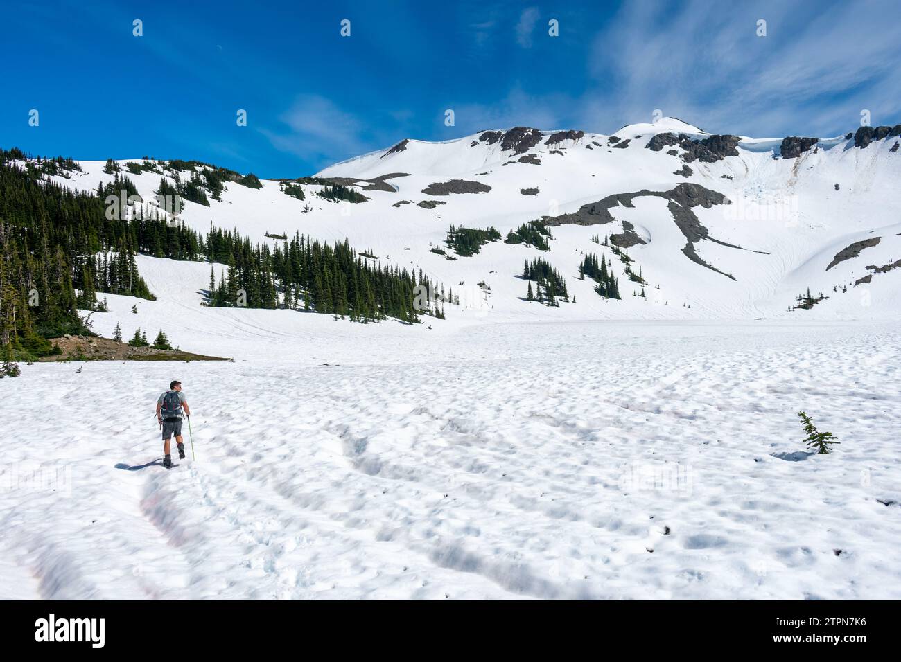 A hiker traverses the snowy path of Panorama Ridge Trail in the serene ...
