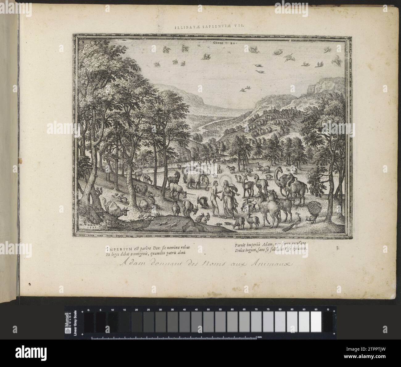 Adam gives the animals their names, 1613 In paradise, God the Father ...