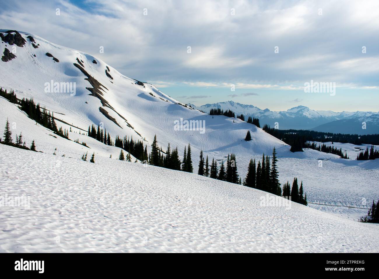 Snowy Panorama Ridge with distant mountain silhouettes under a cloudy ...