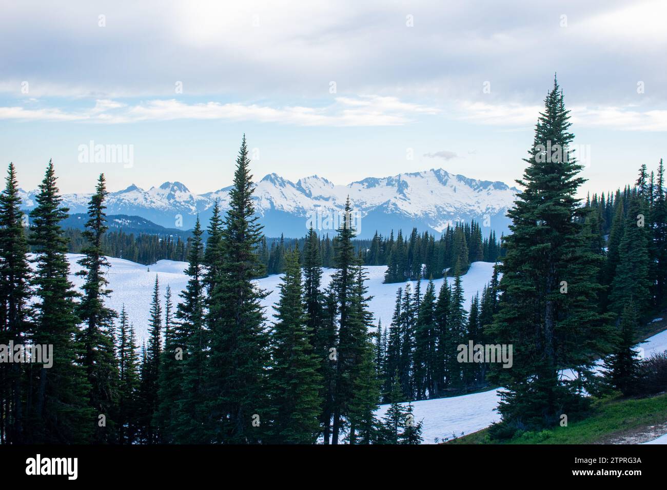 Snowy splendor stunning wilderness hi-res stock photography and images ...