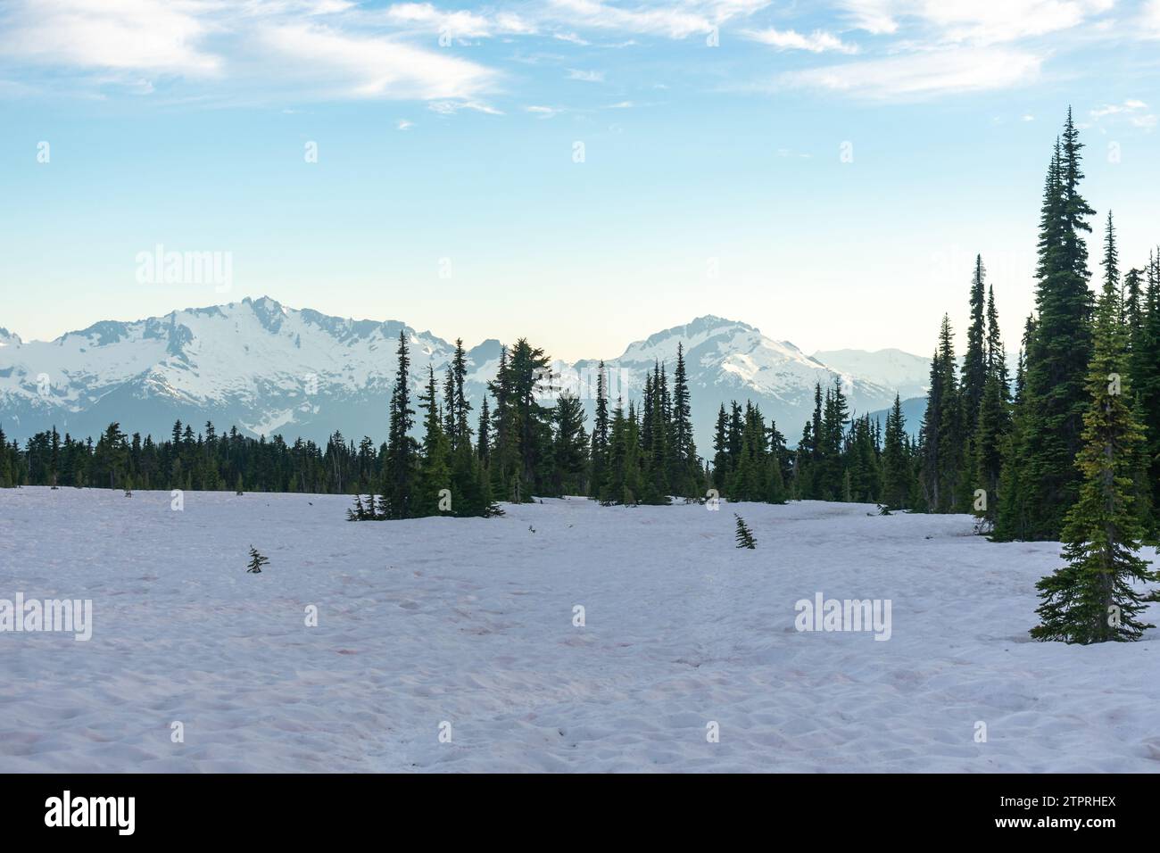A tranquil view from the Panorama Ridge Trail, showcasing the snowy ...